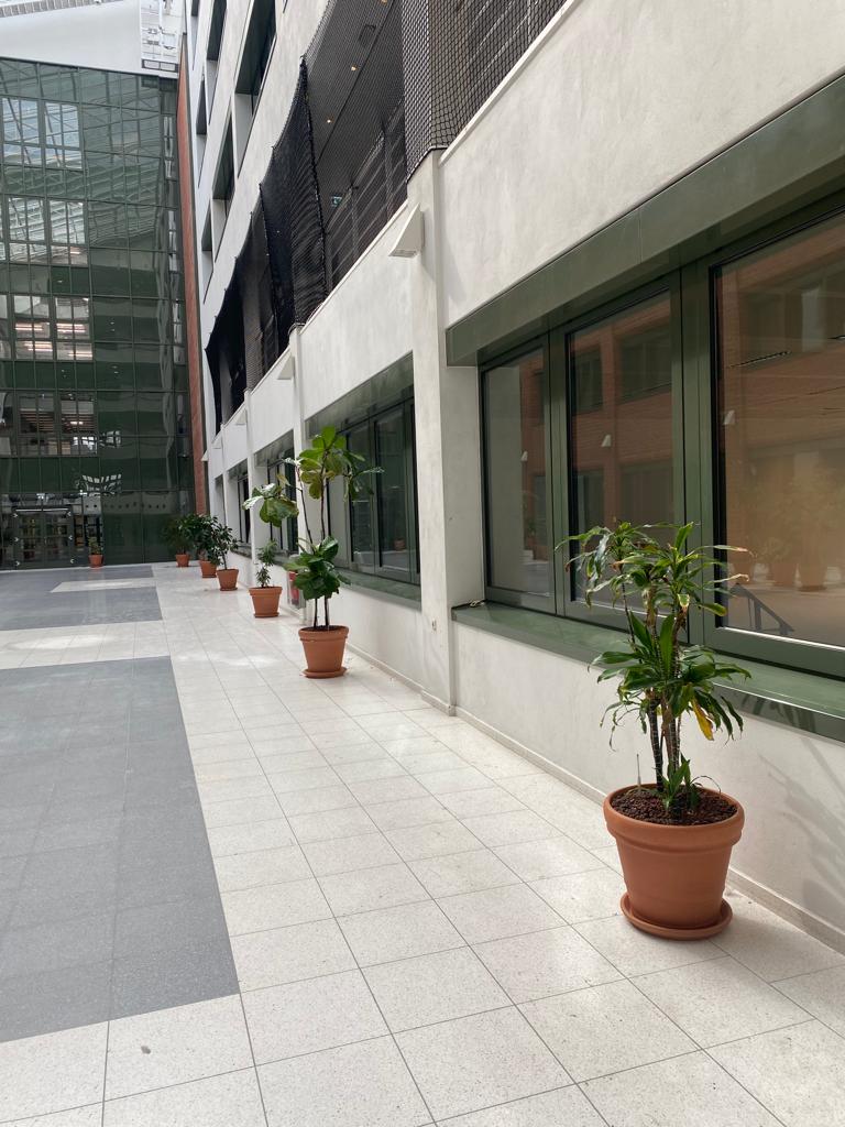 HOB Überseering - DRK KV Hamburg Altona und Mitte e.V.